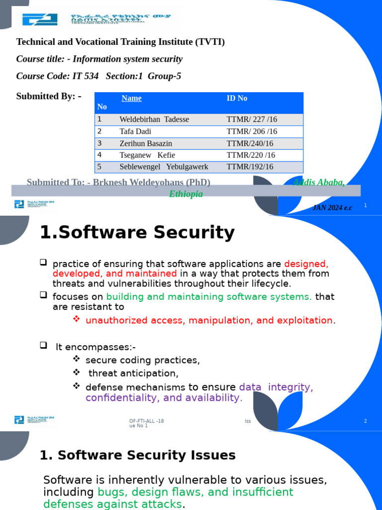 Software Security Presentation | PDF | Software Engineering | Computer Science