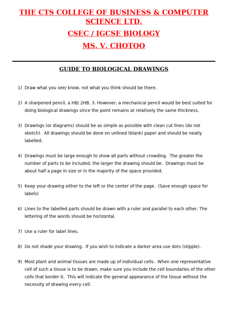 Rules For Biological Drawings | PDF