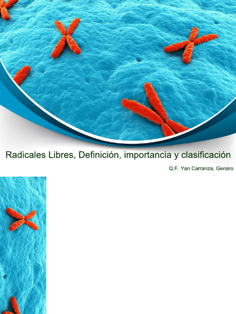 Radicales Libres Definicion Importancia y Clasificacion | PDF ...