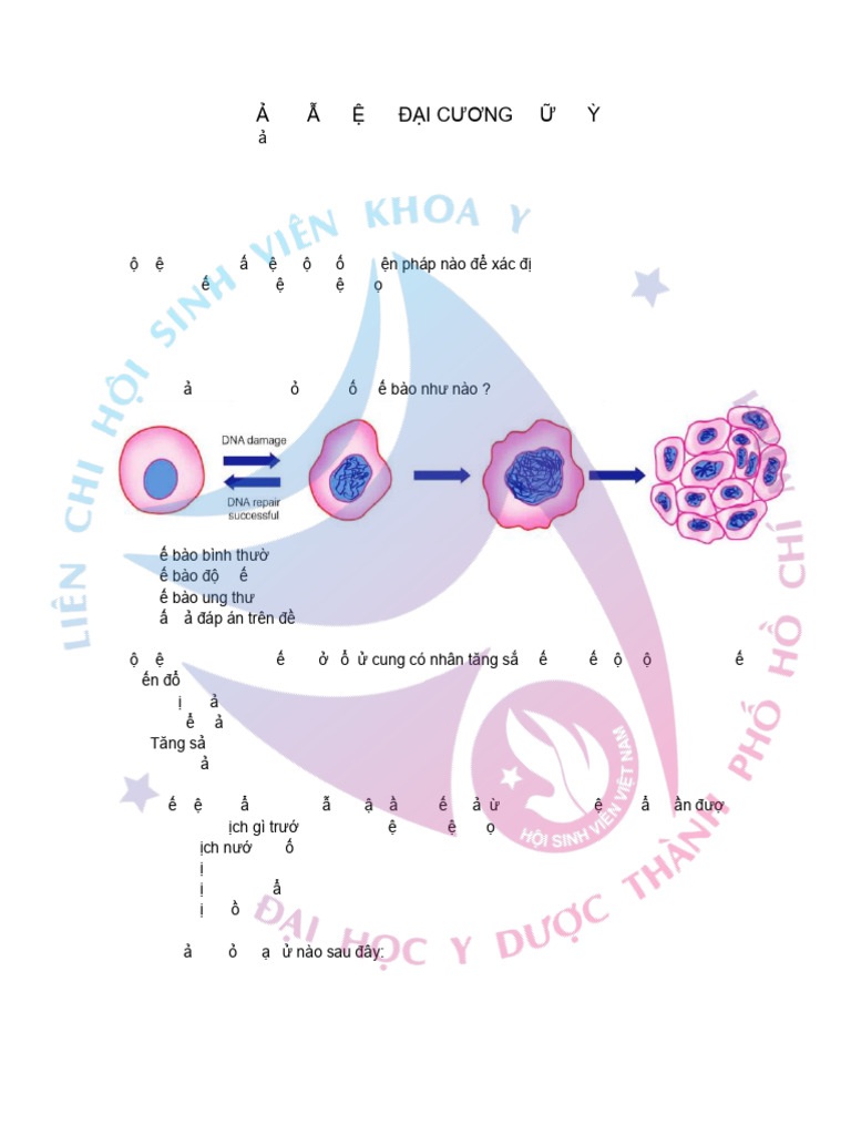 30 - 25 GPB Y21 | PDF