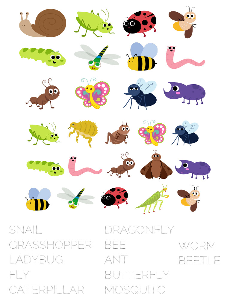 Snail Grasshopper Ladybug Caterpillar Dragonfly Bee Bird Butterfly ...