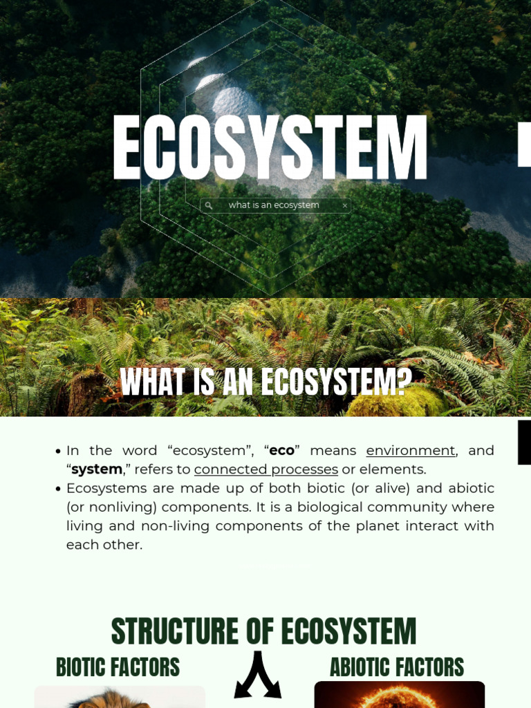 Group-1 ECOSYSTEM Compressed | PDF | Ecosystem | Aquatic Ecosystem