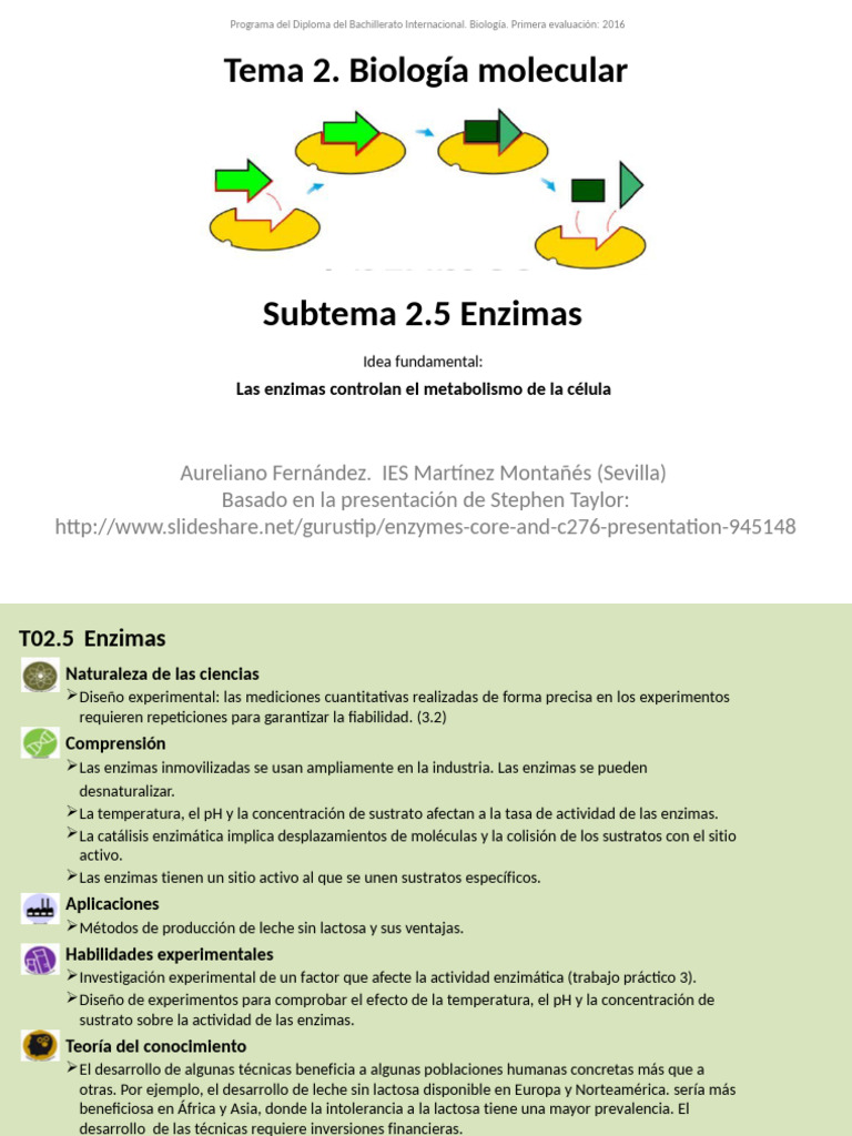 2 5 Enzimas | PDF | Enzima | Sustrato (Química)