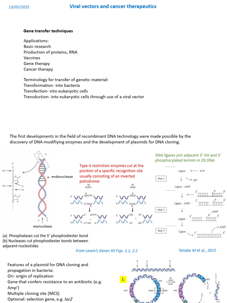 Viral Vectors and Cancer Therapeutics | PDF | Molecular Cloning | Viral ...