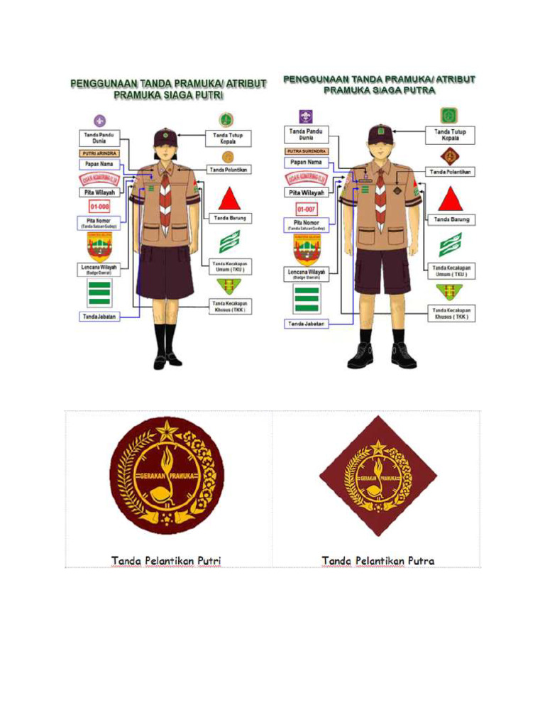 Perbedaan Atribut Pramuka Siaga Putra Dan Putri | PDF