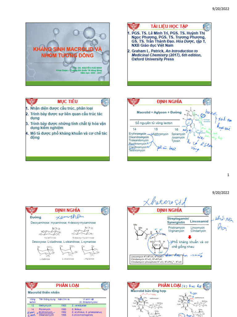 Macrolid - Phenicol | PDF