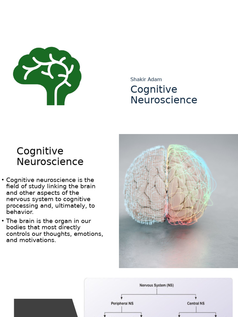 Overview of Cognitive Neuroscience | PDF | Stroke | Synapse