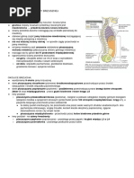 Anatomia Swini Atlas Interaktywny | PDF