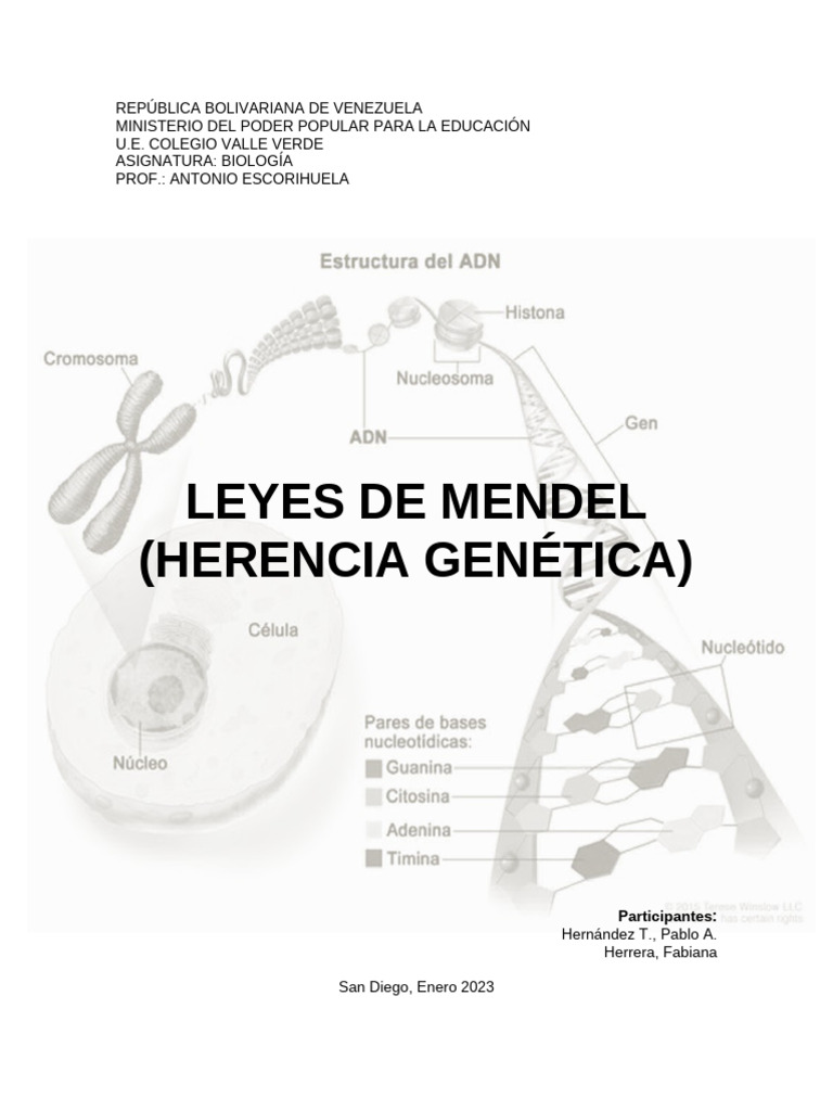 Leyes de Mendel y Herencia Genética | PDF | Alelo | Gene