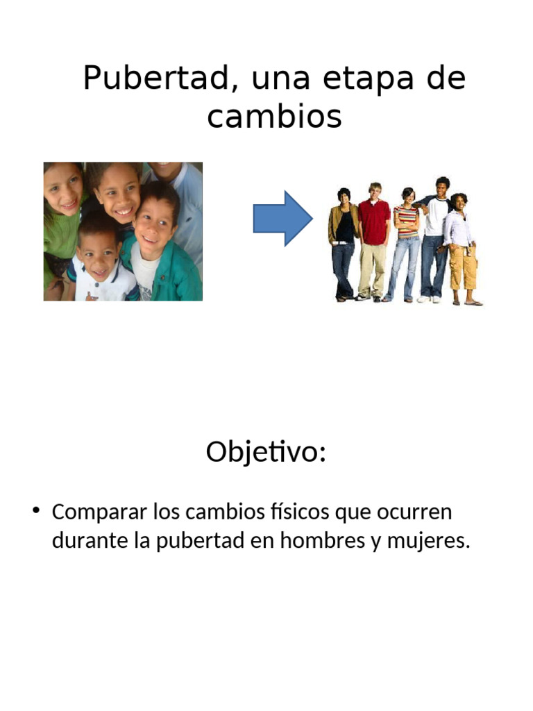 Pubertad, Una Etapa de Cambios, 6to | PDF