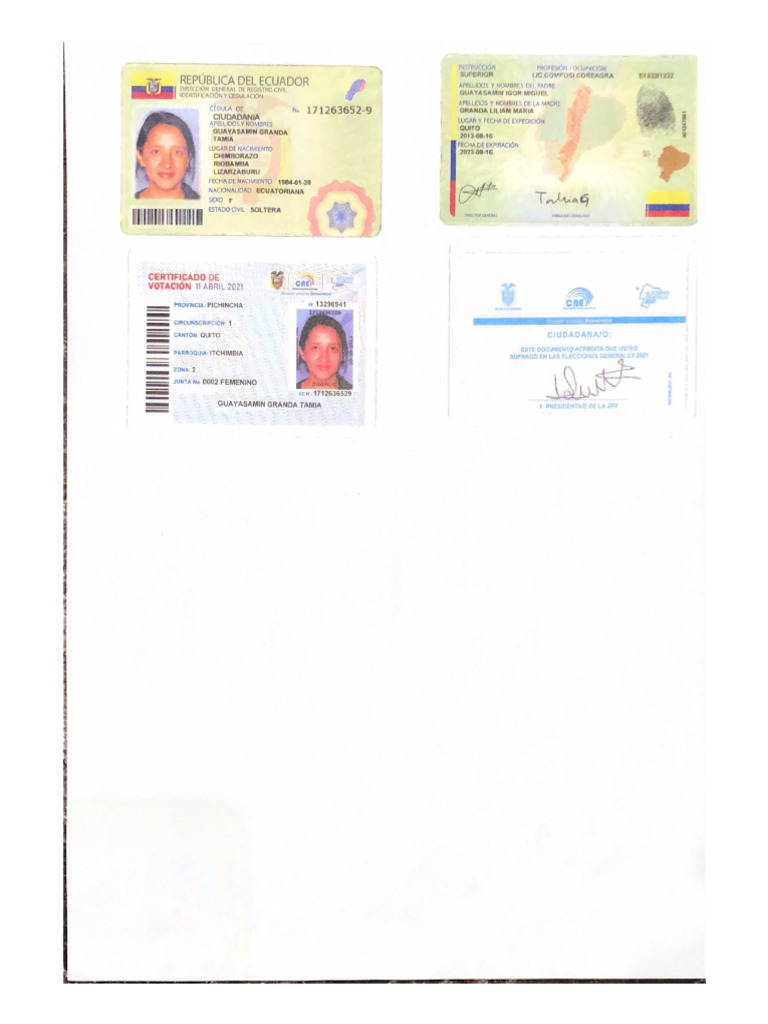 H Cedulas Tamiagg | PDF