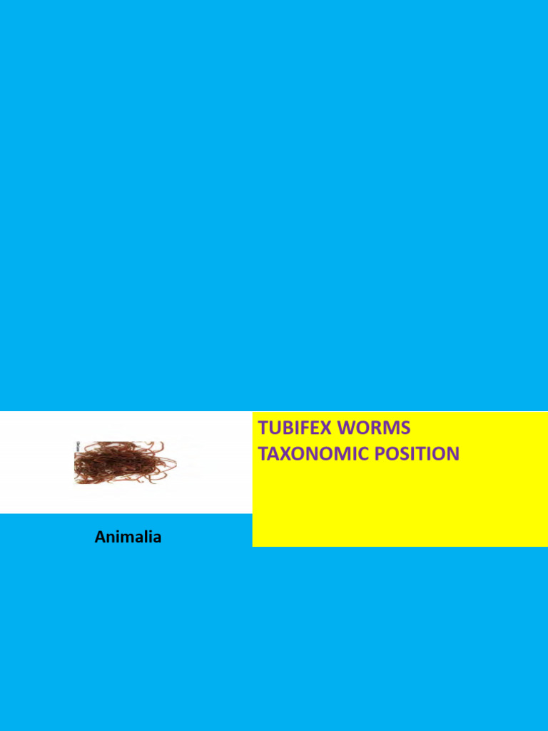 Culturing Tubifex Worms for Aquaculture | PDF