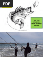 Play Fishing Frenzy Blooket | PDF