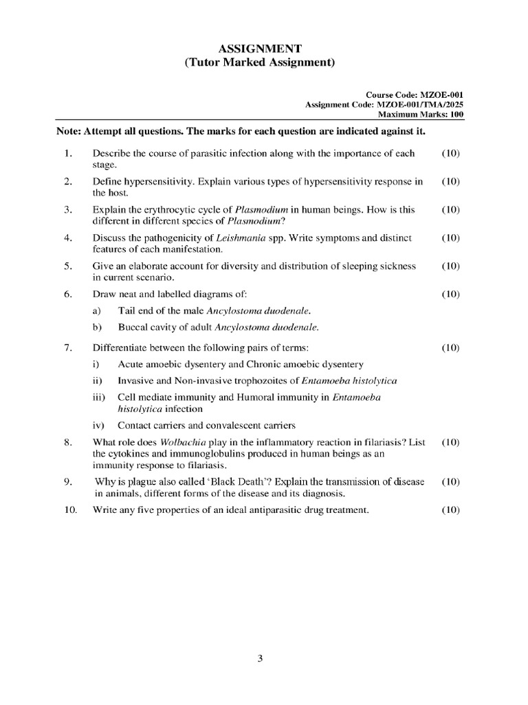 MZOE-1 (E) Assi 2025 | PDF