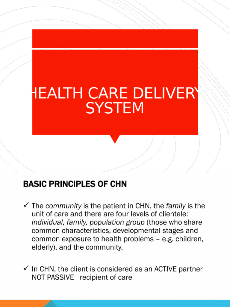 Health Care Delivery System | PDF