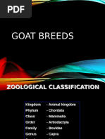 Breeds of Goats | PDF