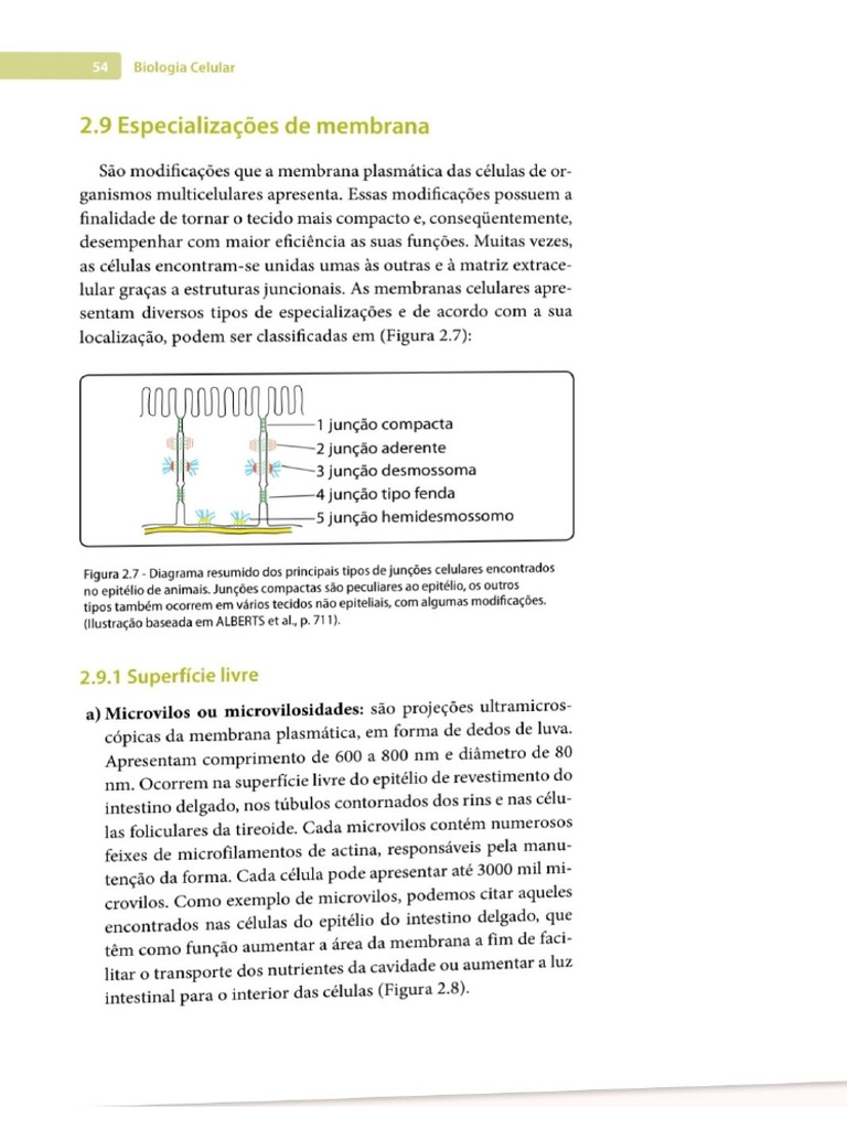 TapScanner 20-05-2025-11 29 | PDF
