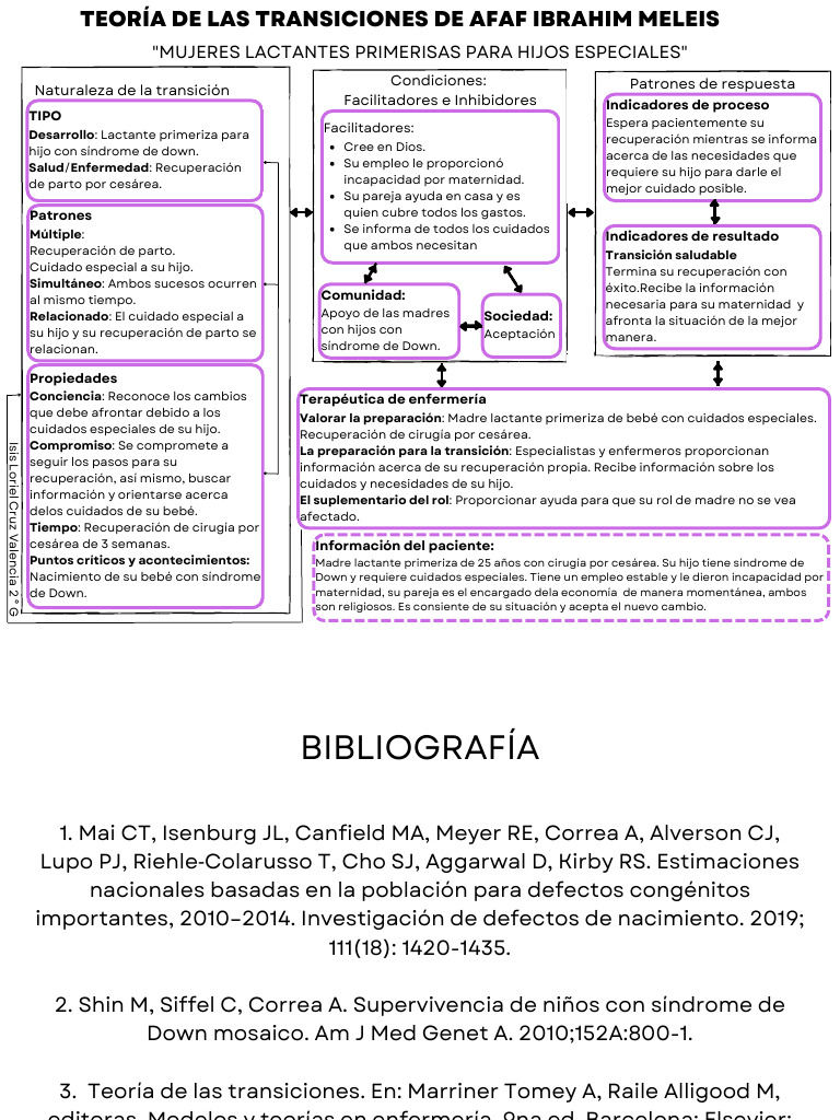 Teoría de Las Transiciones de Afaf Ibrahim Meleis | PDF | Parto | Enfermería