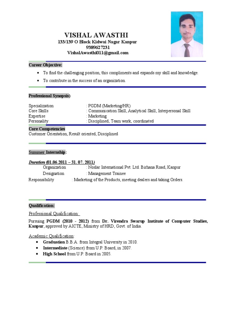 CV Vishal AWASTHI | PDF