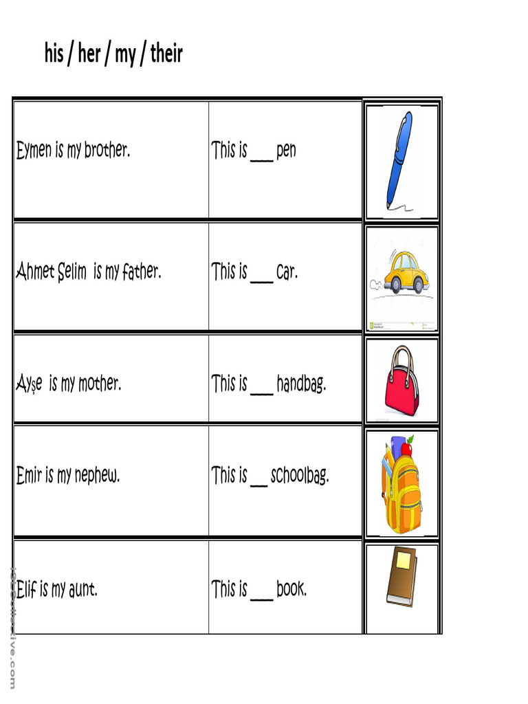 Possesive Adjectives(His Her Their My) | PDF