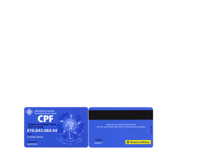 CPF Perfeito | PDF