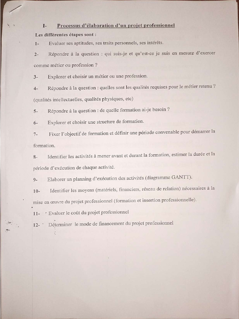 Projet Professionnel | PDF