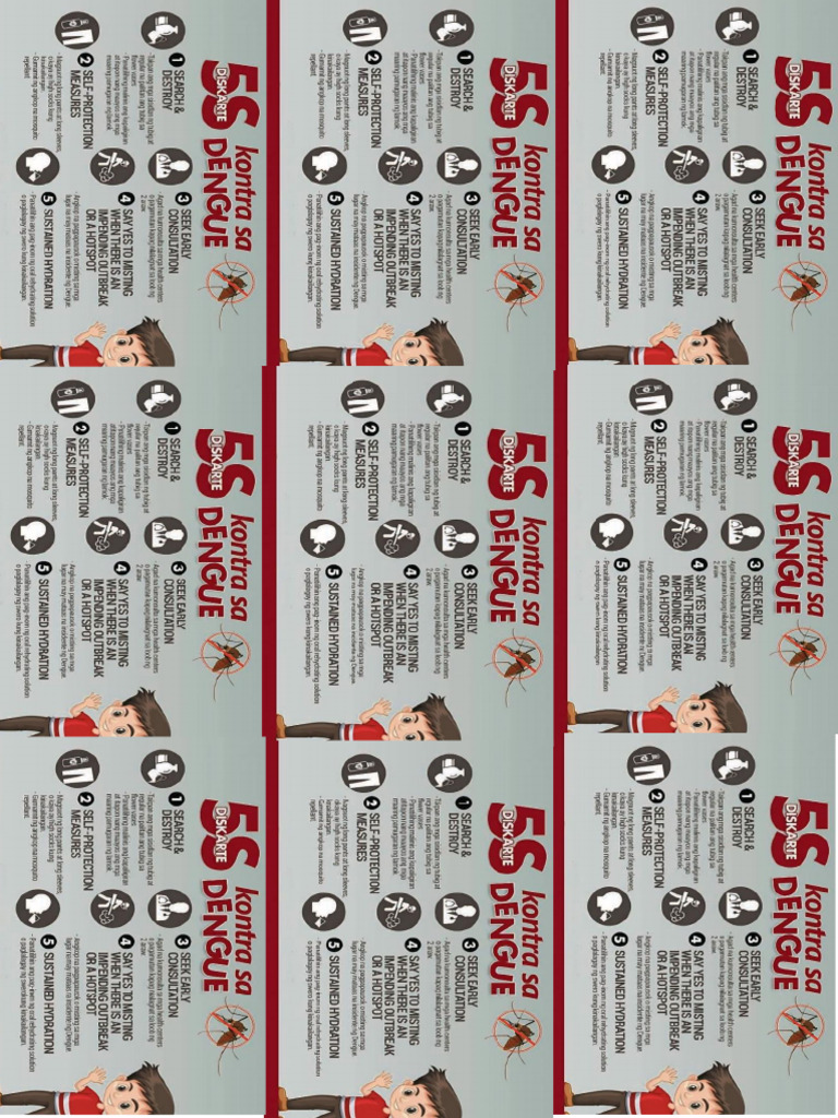 Flyers To Avoid Dengue | PDF