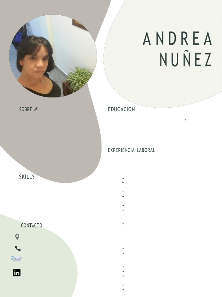 CV Andrea - Nuñez | PDF | Business