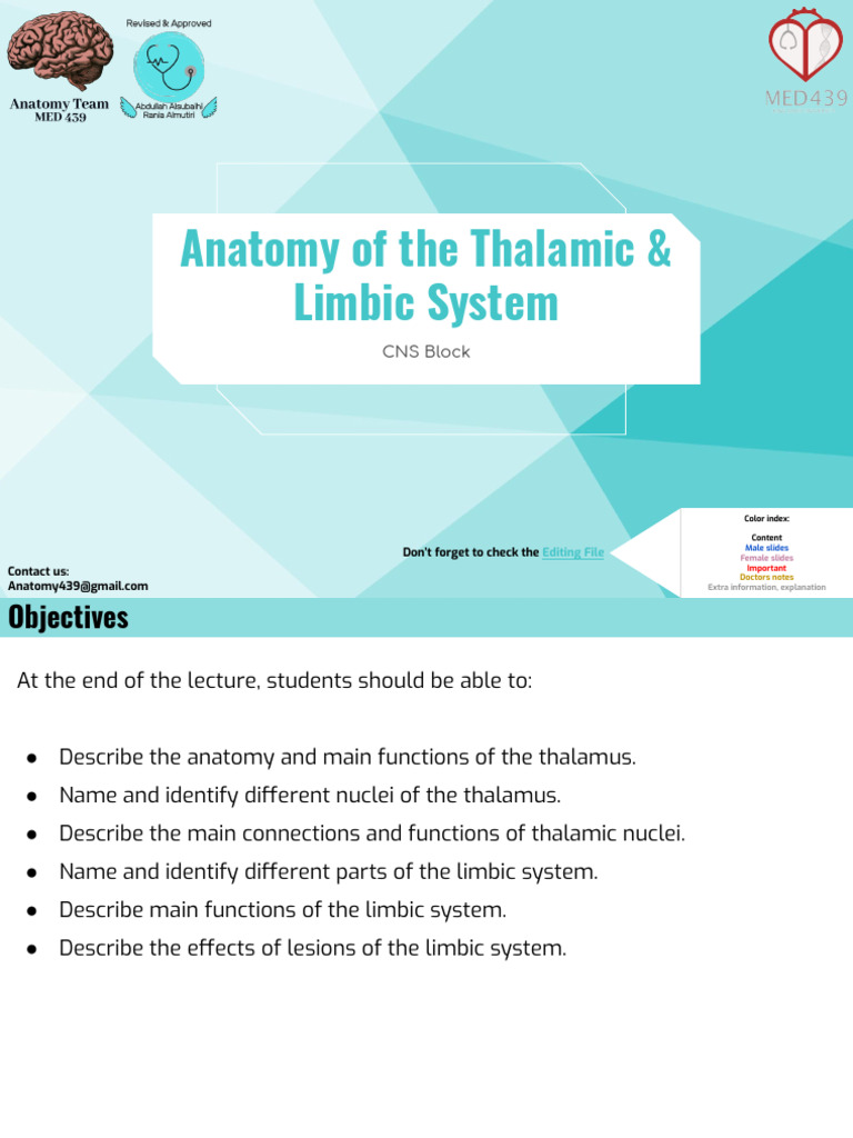 18 - Anatomy of The Thalamic and Limbic System | PDF | Thalamus | Limbic System