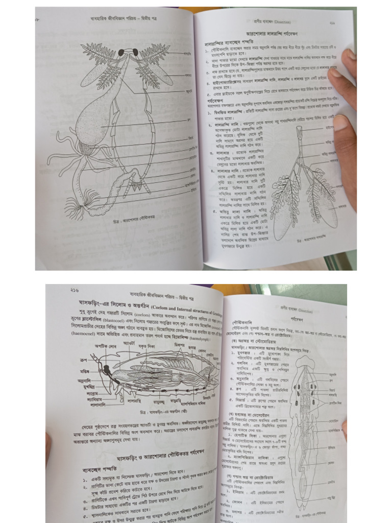 Zoology Practical | PDF