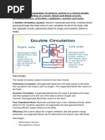 Tissue Fluid Formation in Capillaries | PDF | Lymph | Vein