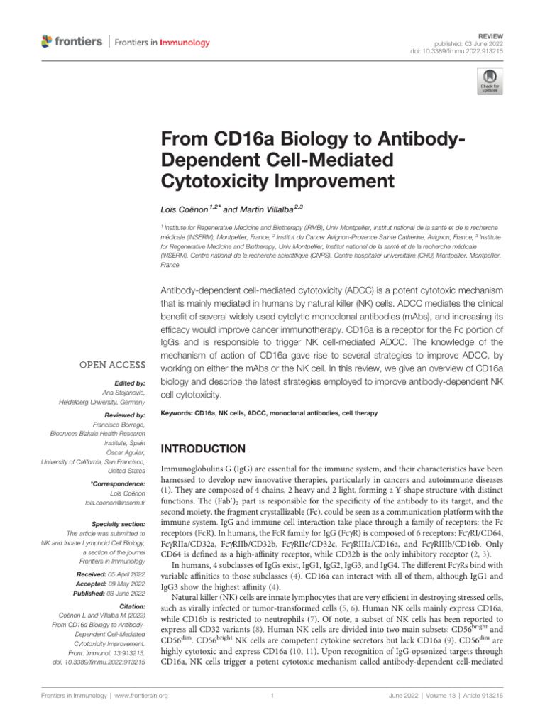 From CD16a Biology To Antibody-Dependent Cell-Mediated Cytotoxicity ...