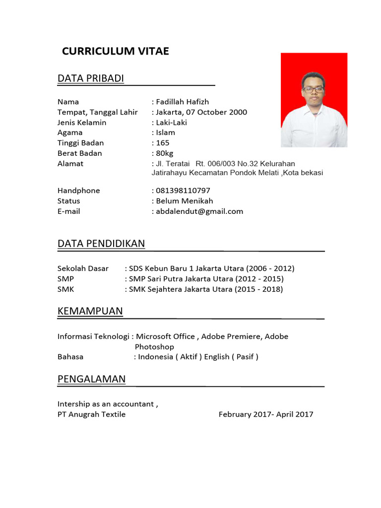CURRICULUM VITAE + Syarat Pendukung - Compressed | PDF