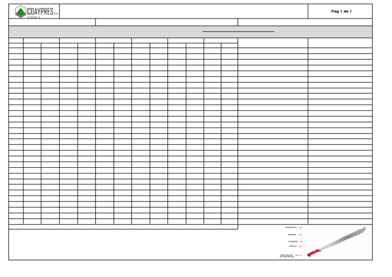 9. PREOPERACIONAL DE MACHETE v1 | PDF