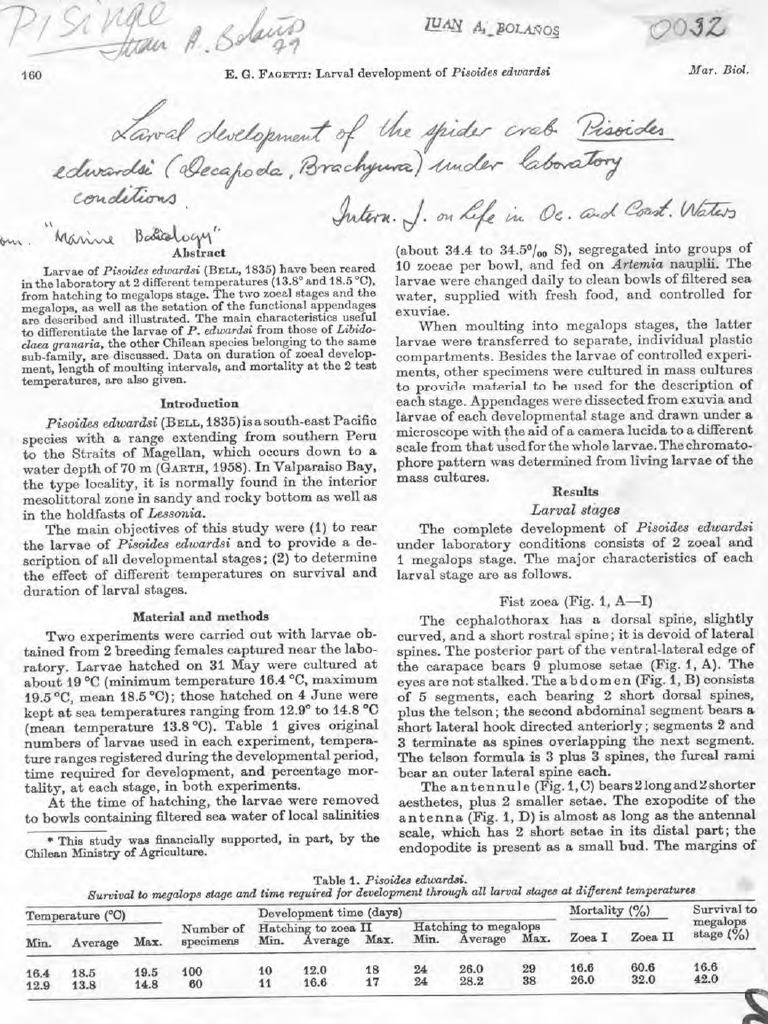 32 Fagetti - 1969-Desarrollo Larval | PDF
