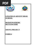 ZIMSEC O Level Projects | PDF