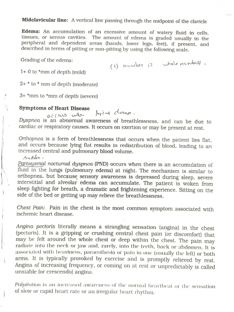 Cardiovascular System 7 | PDF