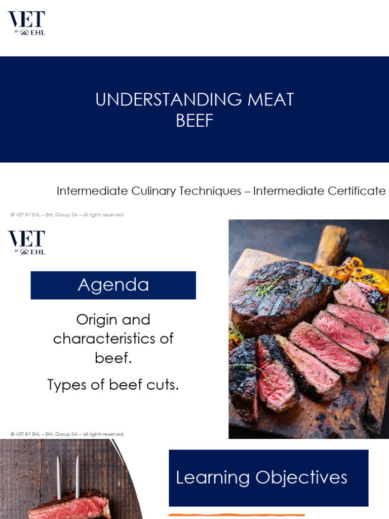 KIP 2.1 - S01 - Understanding Meat - Beef - V3 2 | PDF | Cattle | Beef