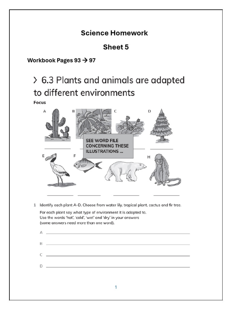 6 - Homework Sheet 5 WB 93 To 97346CW | PDF