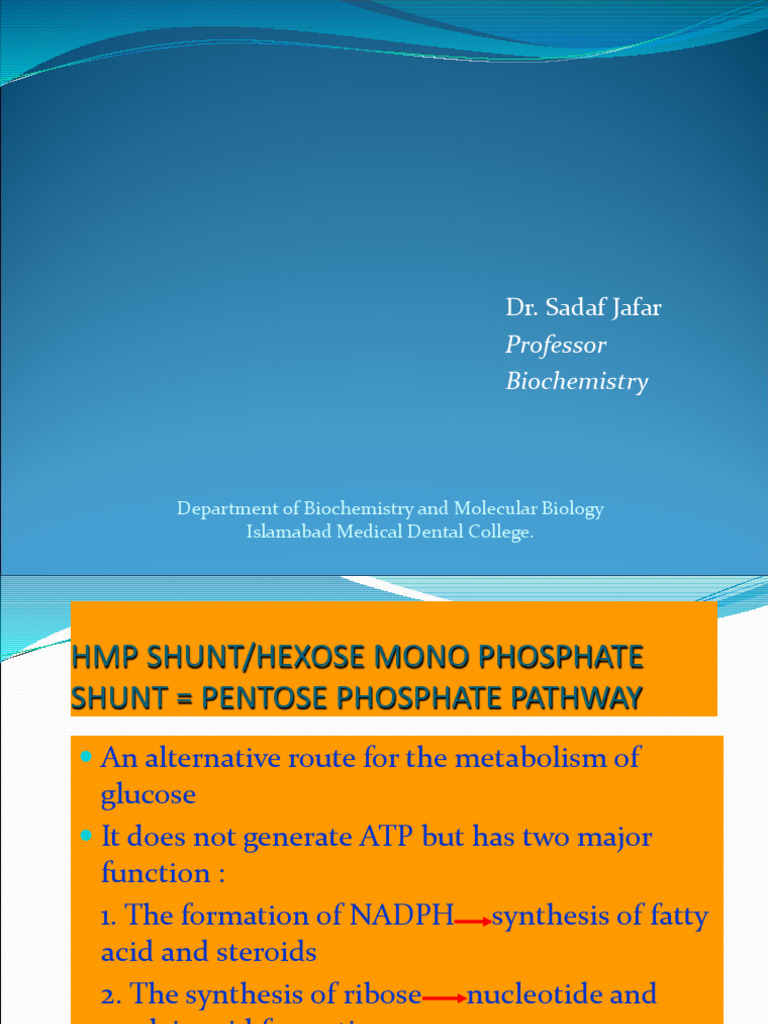 HMP Shunt and Uronic Acid Pathway | PDF | Nicotinamide Adenine Dinucleotide Phosphate | Metabolism