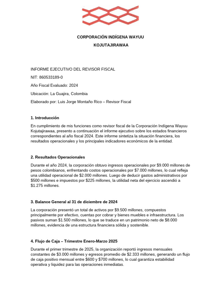 Informe Del Revisor Fiscal | PDF | Estado financiero | Contabilidad