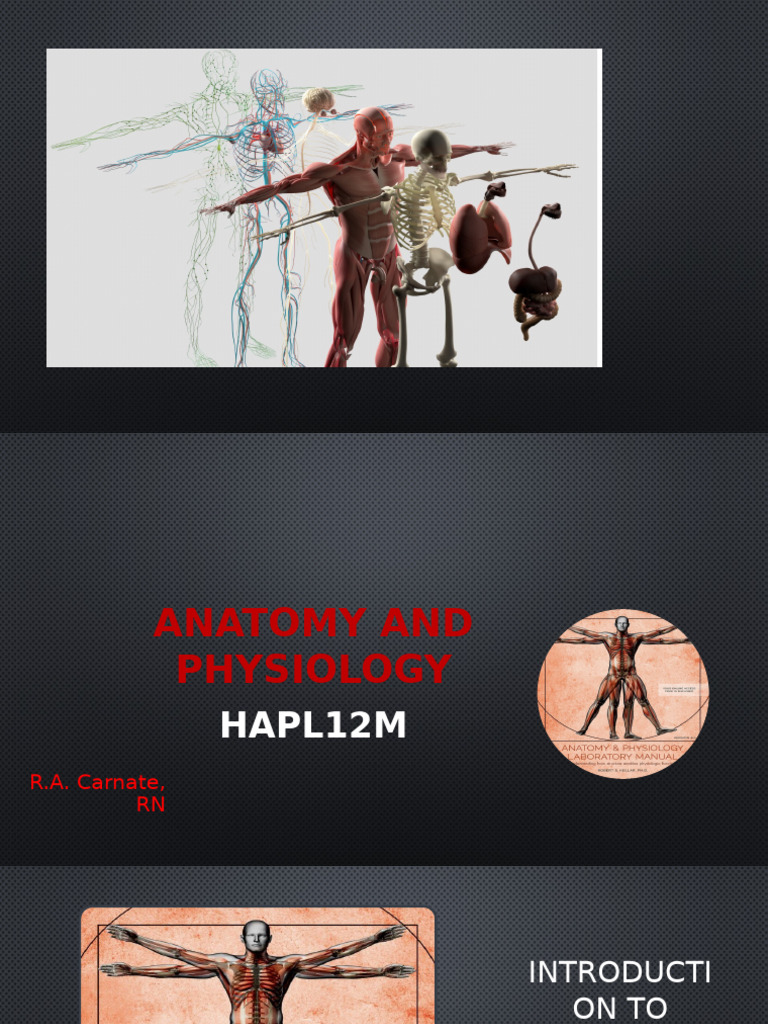 Introduction To Anatomy and Physiology | PDF | Human Body | Circulatory ...