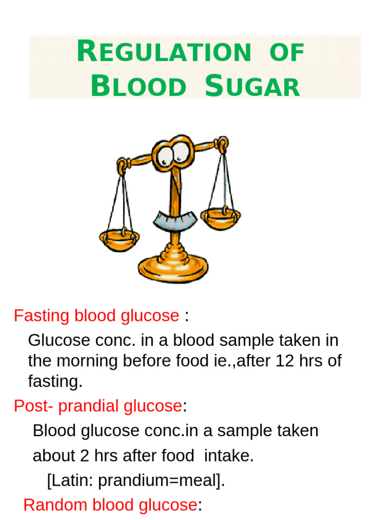 Fasting Blood Sugar Regulation Overview | PDF | Endocrinology | Human ...