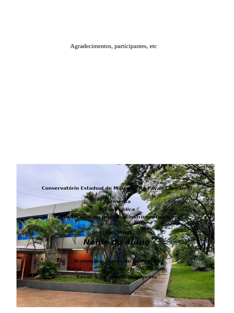 Modelo Programa Plateia | PDF