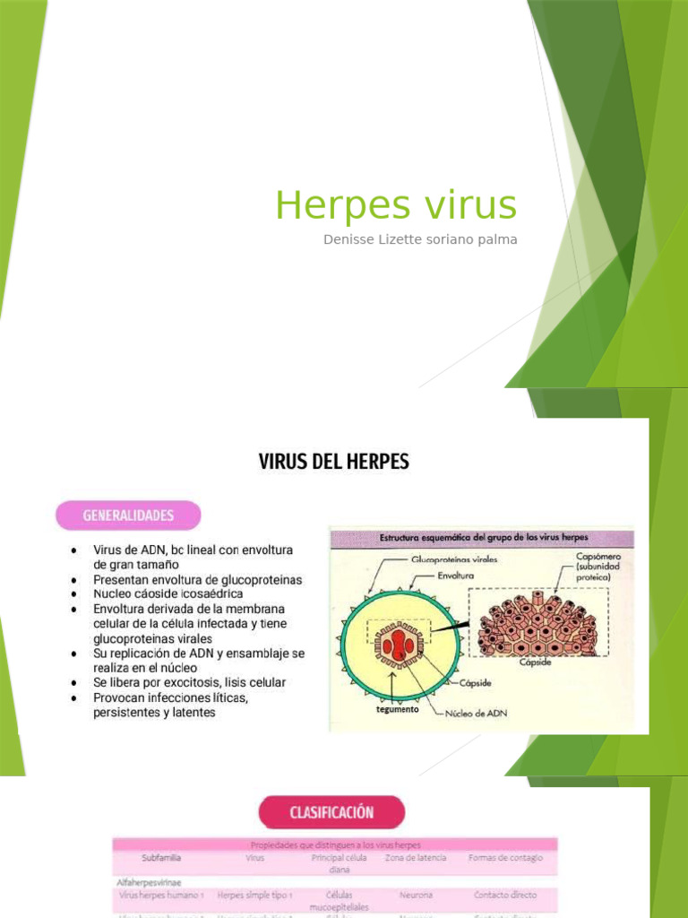 Herpes | PDF