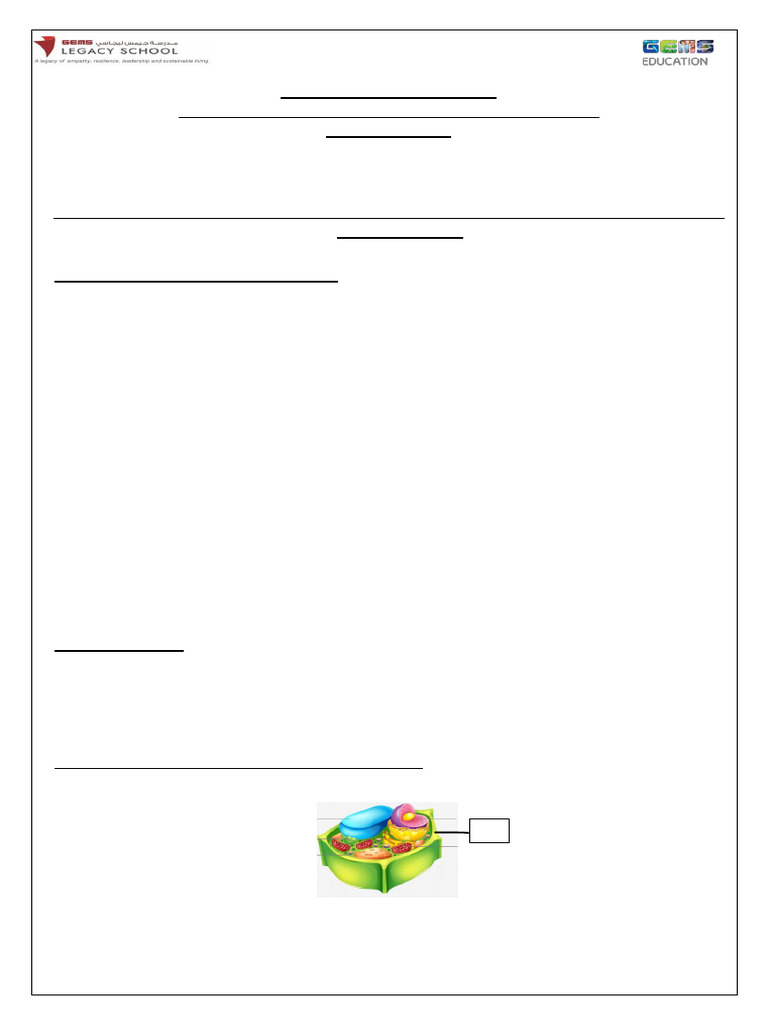Gr8 - Science - Yearly Exam - Revision - Ans Key | PDF | Biofuel | Fuels