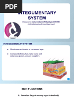 Friction Ridge Skin Morphogenesis and Overview | PDF | Epidermis | Hand