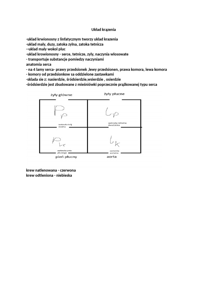 Sciaga Z Biologi | PDF
