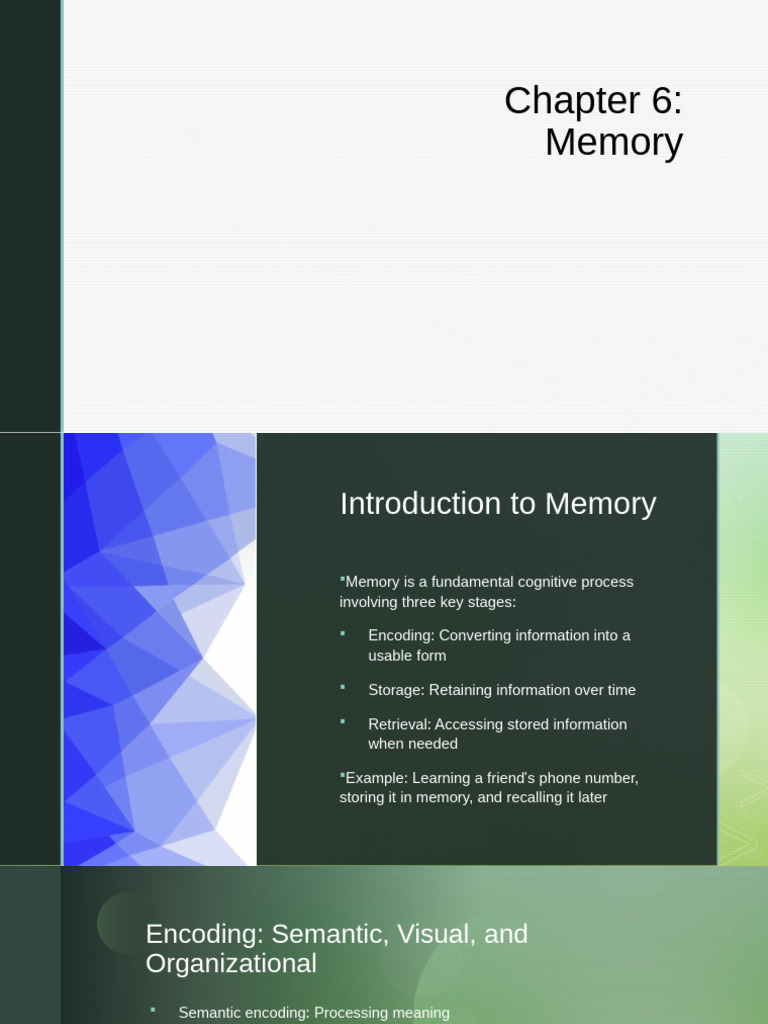 Chapter 6 Memory PowerPoint | PDF | Recall (Memory) | Memory
