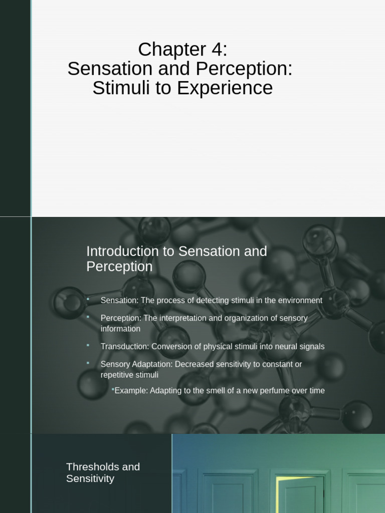 Chapter 4 Sensation And Perception Pdf Senses Perception